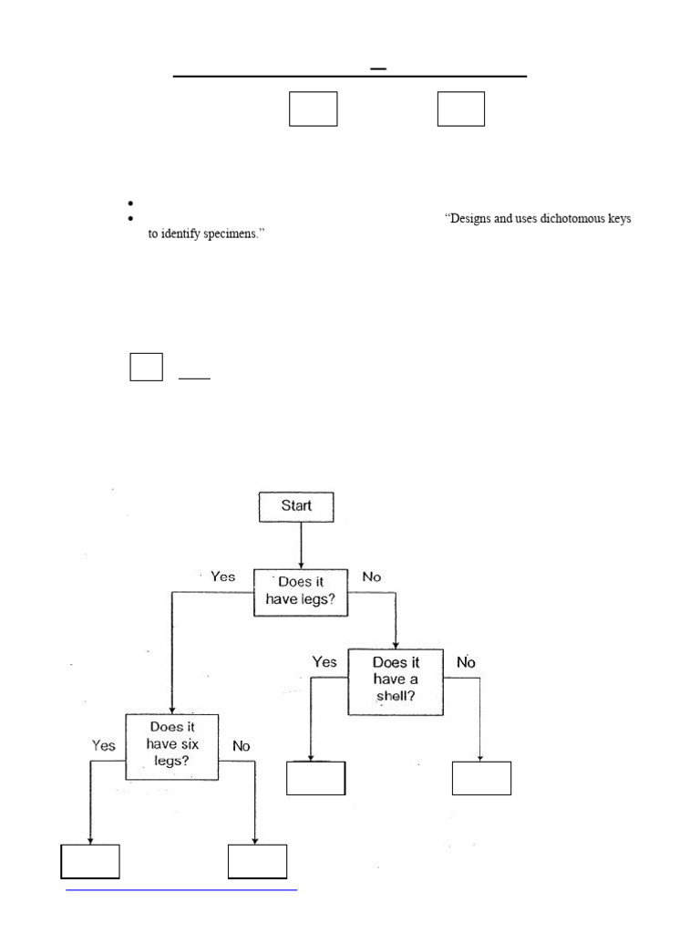 Fish_Dichotomous_Key | PDF | Fish
