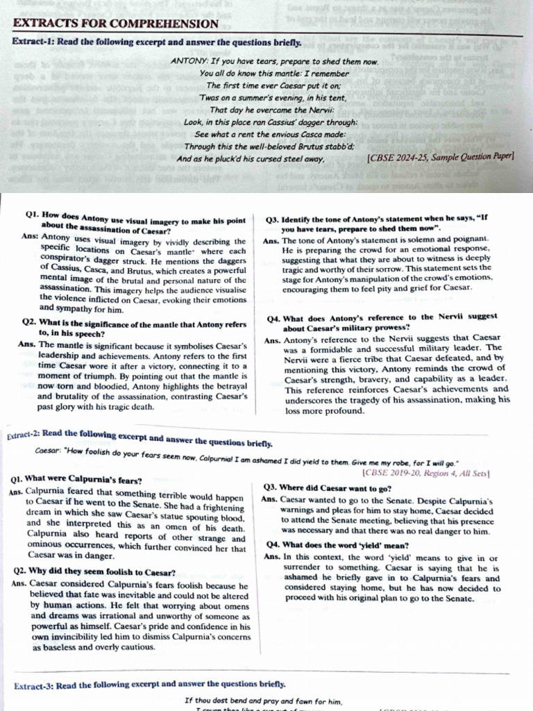 CBSE Analysis of Julius Caesar Excerpts | PDF | Mark Antony | Julius Caesar