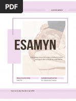 ESAMYN | PDF | Amamantamiento | Parto