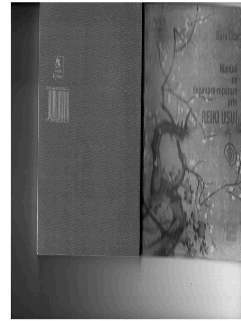 Doru Cica Manual Reparare Depanare PDF - Rotated | PDF