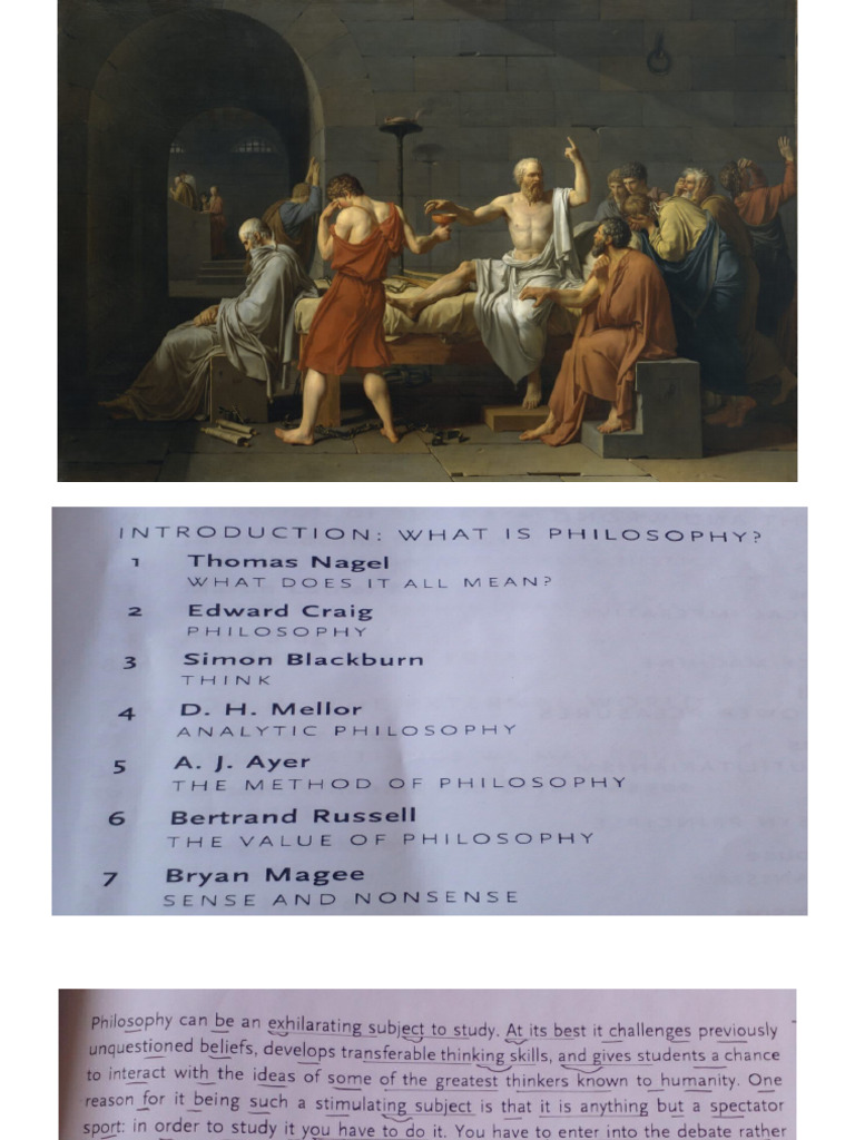 Introduction To Philosophy | PDF