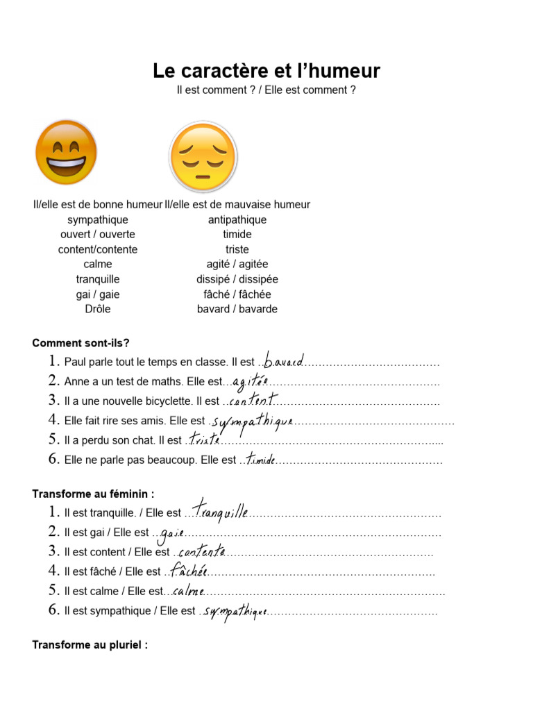 Le Caractere Et Lhumeur Laccord Des Adjectifs Exercice Grammatical ...