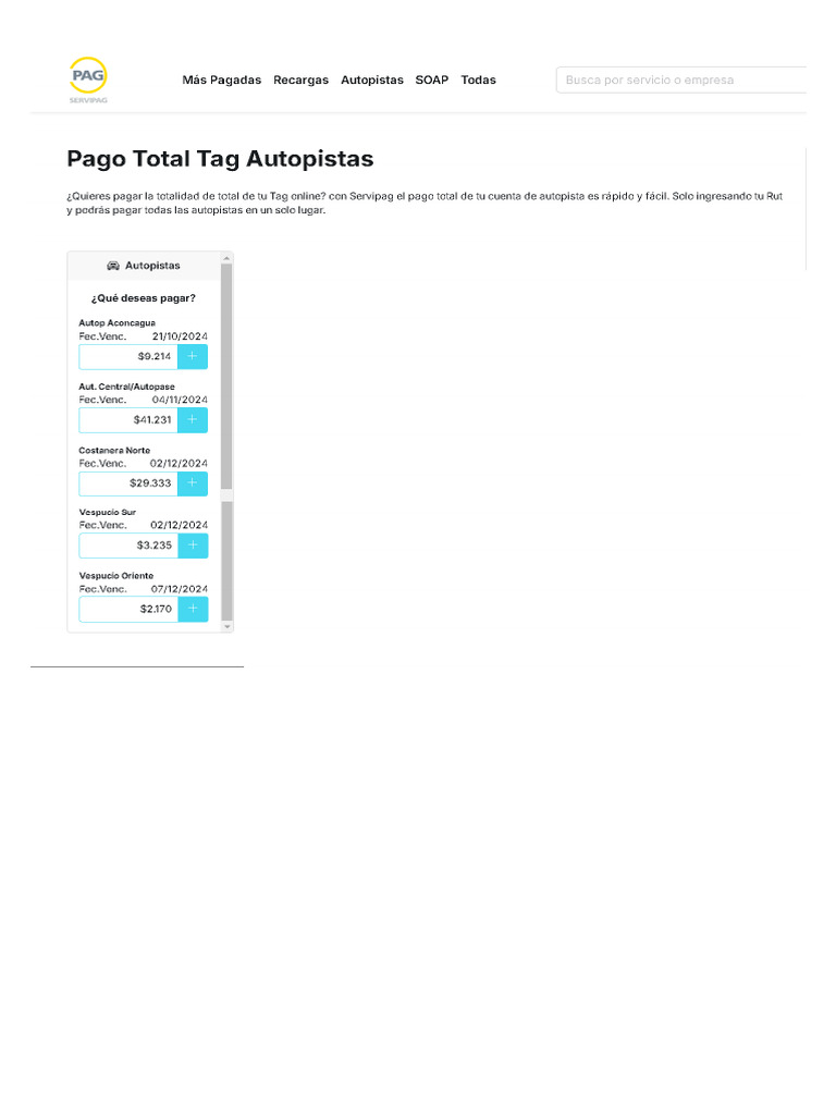 Deudas Autopistas SERVIPAG 15888402-K | PDF