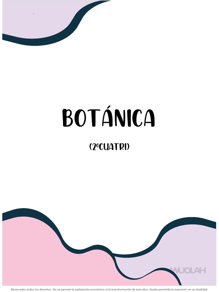 Ejemplos de Endozoocoria en Botánica | PDF | Taxonomía (biología) | Plantas