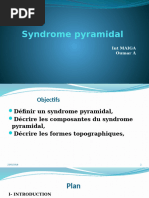 Comprendre le syndrome pyramidal | PDF | Système nerveux | Causes de décès