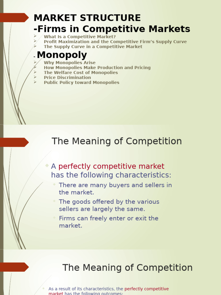 14 Market Structure | PDF | Monopoly | Price Discrimination