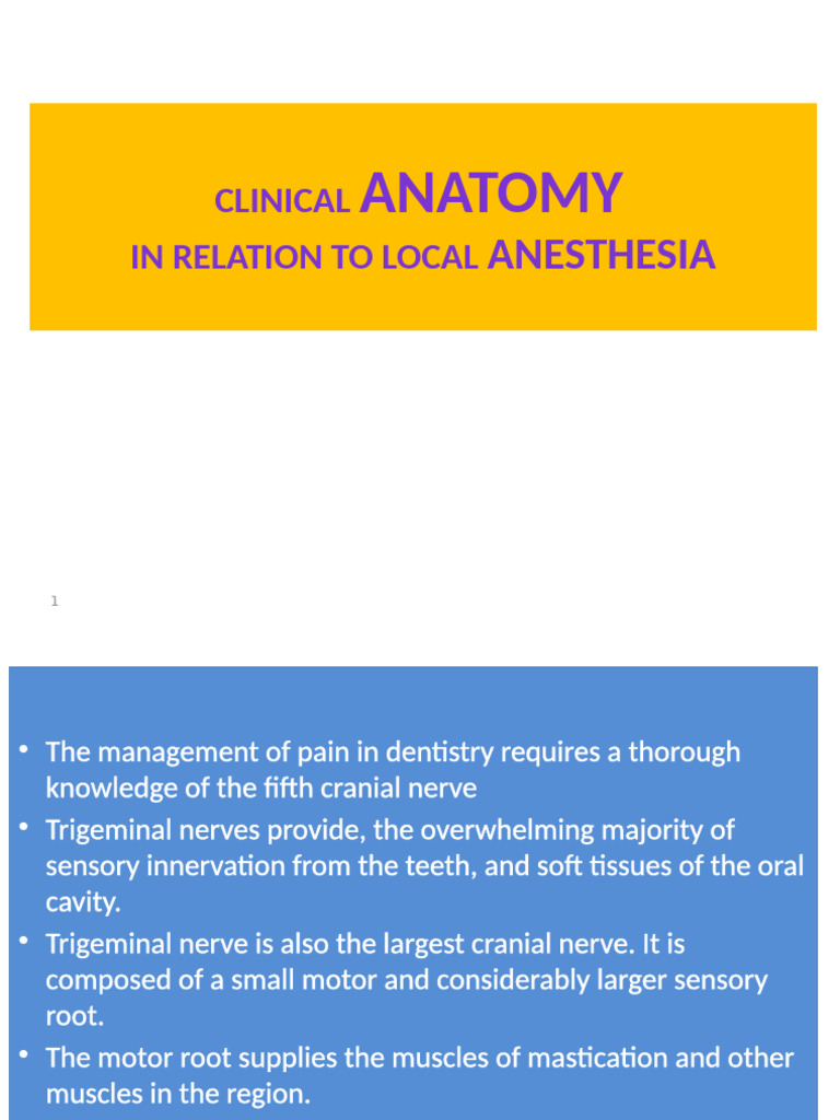Dental Nerve Anatomy Guide | PDF