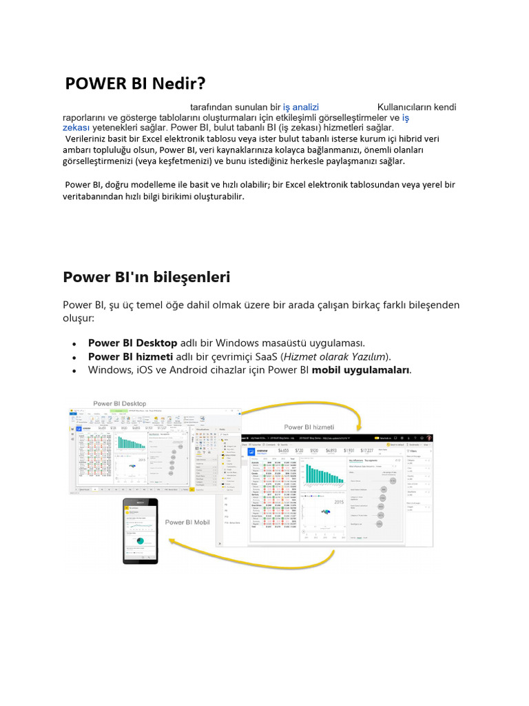 PowerBI - Turkce Kitap | PDF