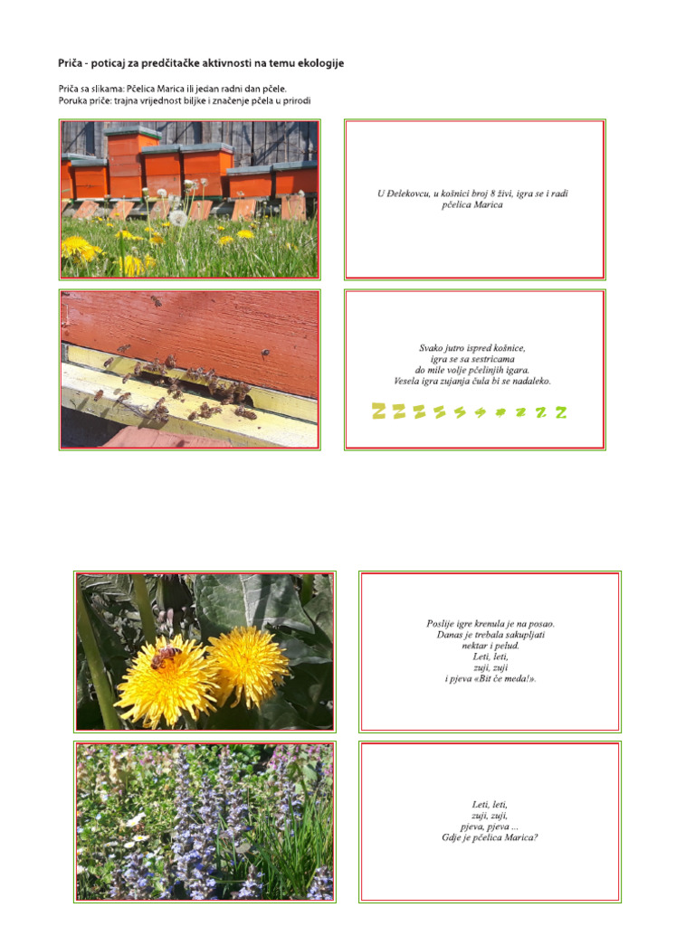 Pcelica Marica | PDF