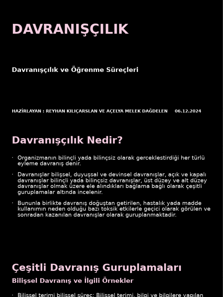 Reyhan Acelya Sunum | PDF