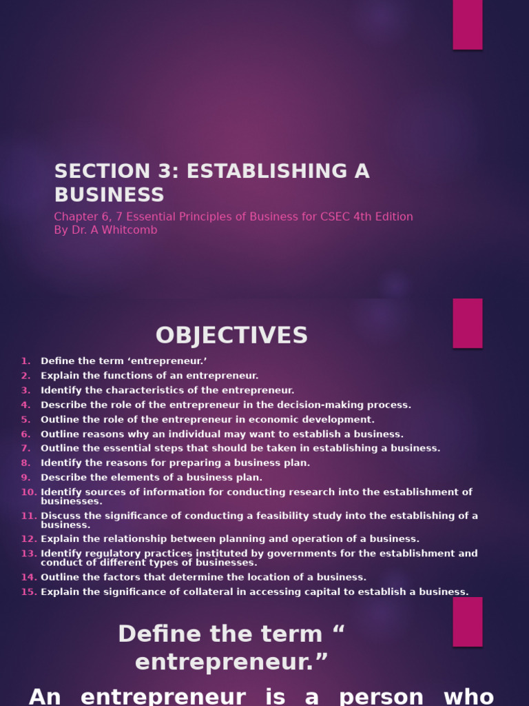 Essential Steps to Establish a Business | PDF | Feasibility Study ...