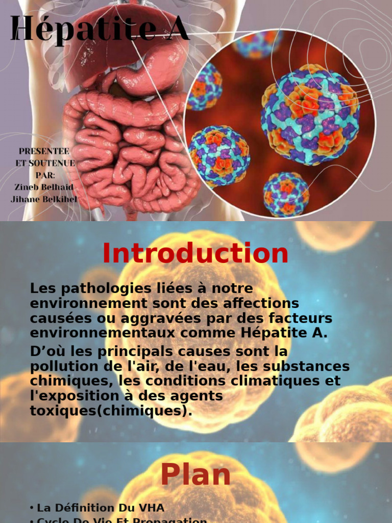 Hépatite A | PDF | Hépatite | Maladies et troubles