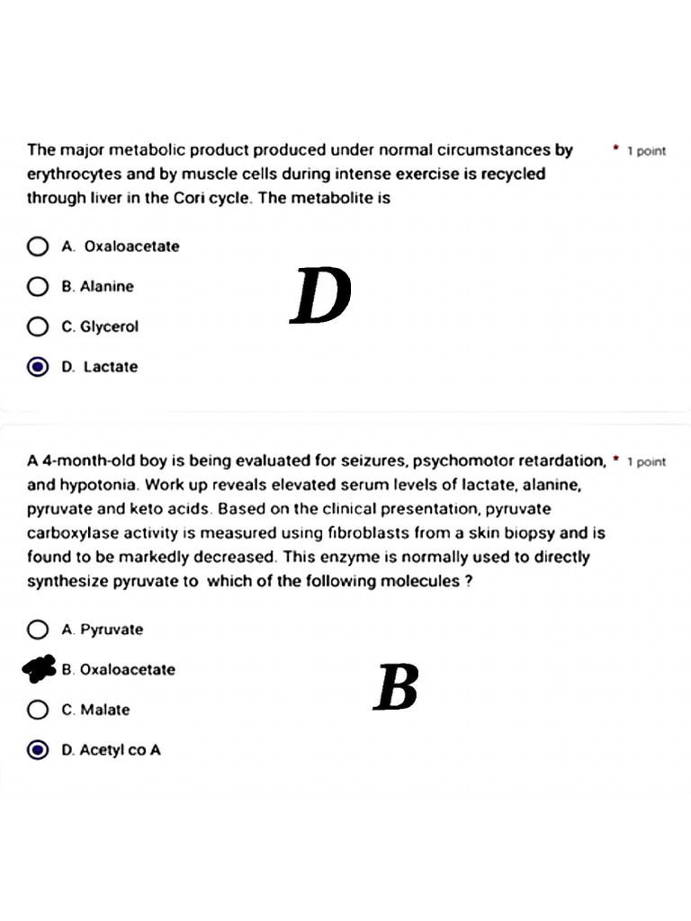 Biochemistry Final Exam Paper | PDF