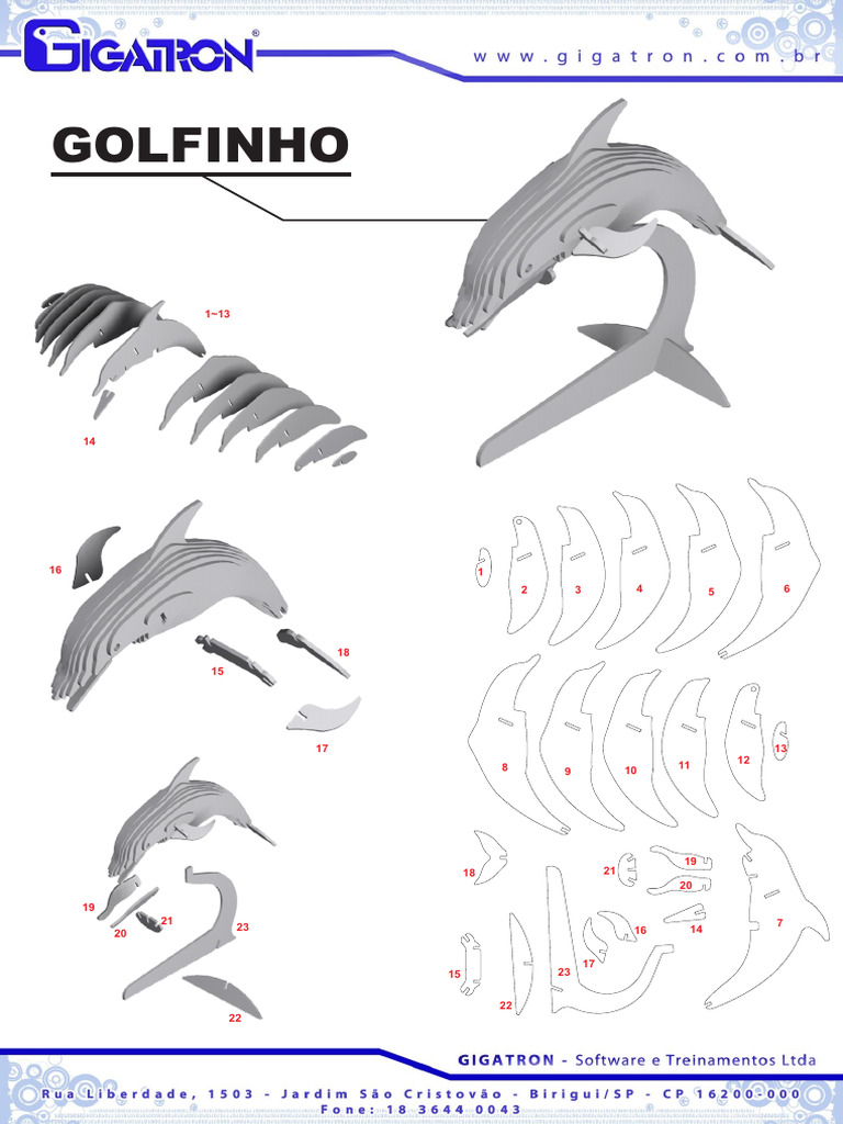 Dolphin Manual | PDF