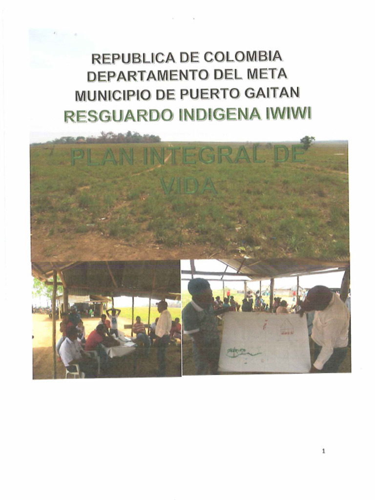 Plan de Vida Resguardo Indigena Iwiwi Puerto Gaitan | PDF