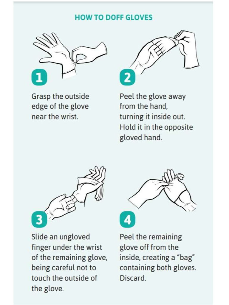 Don and Doff Gloves | PDF