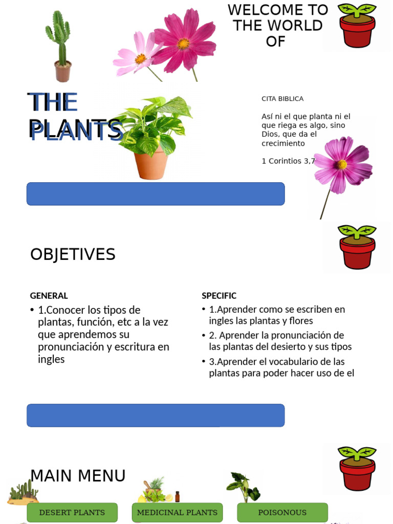 Tipos de Plantas y Vocabulario en Inglés | PDF