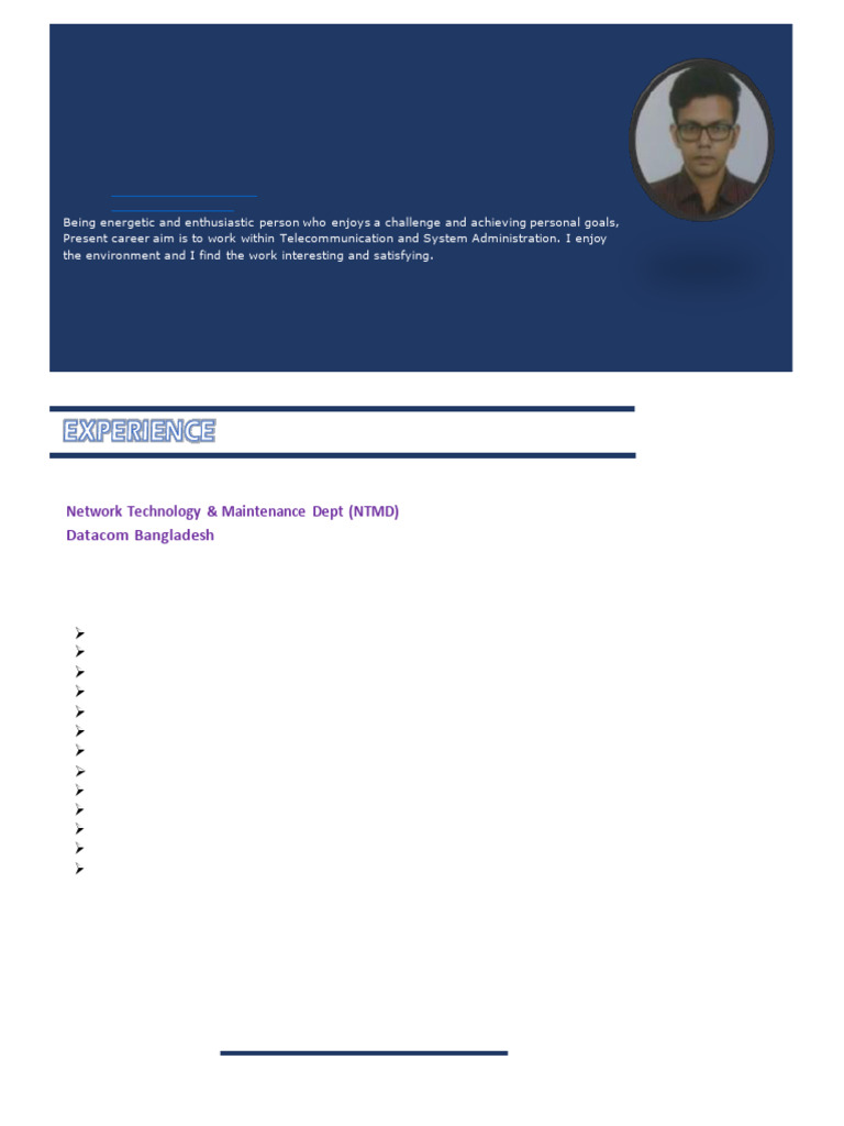 Telecom & Network Engineer Profile | PDF | Computer Network | Network Architecture