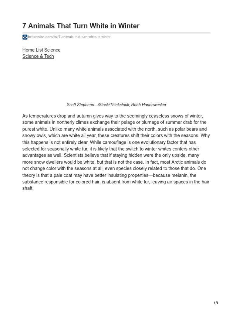 7 Animals That Turn White in Winter | PDF | Fur | Reindeer