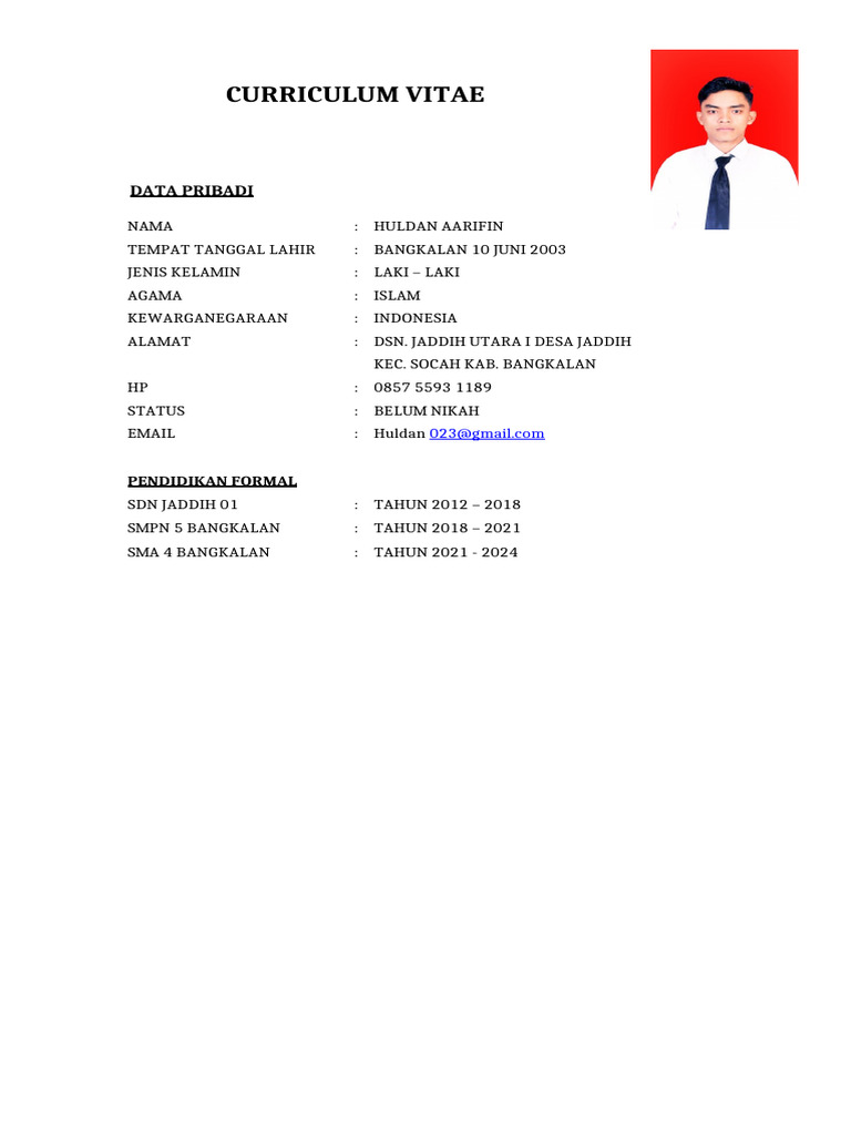 Contoh Format CV | PDF