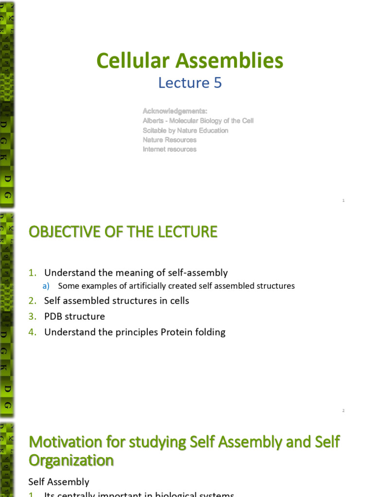 Lecture 5 Cellular Assembly | PDF | Self Assembly | Cytoskeleton
