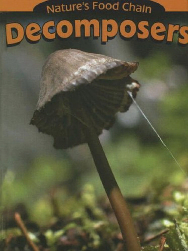 Megan Lappi - Decomposers (Nature's Food Chain) (2006) | PDF | Foods ...