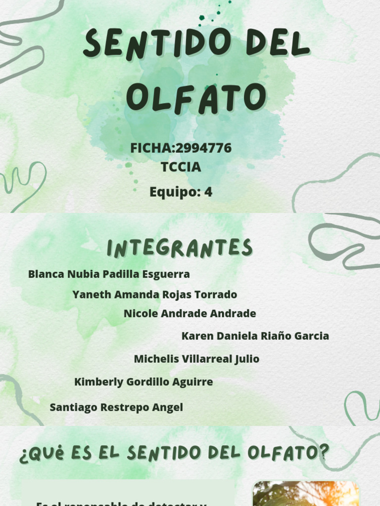 SENTIDO DEL OLFATO - Nicole Francesca Andrade Andrade | PDF
