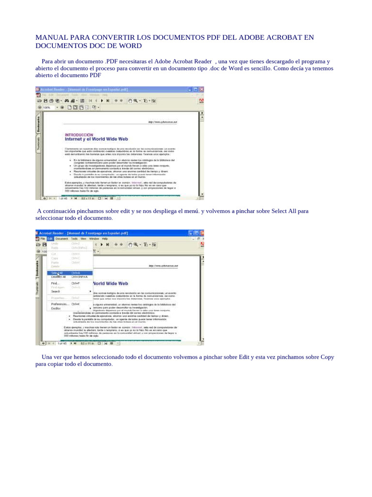Manual Para Convertir Los Documentos PDF Del Adobe Acrobat en ...