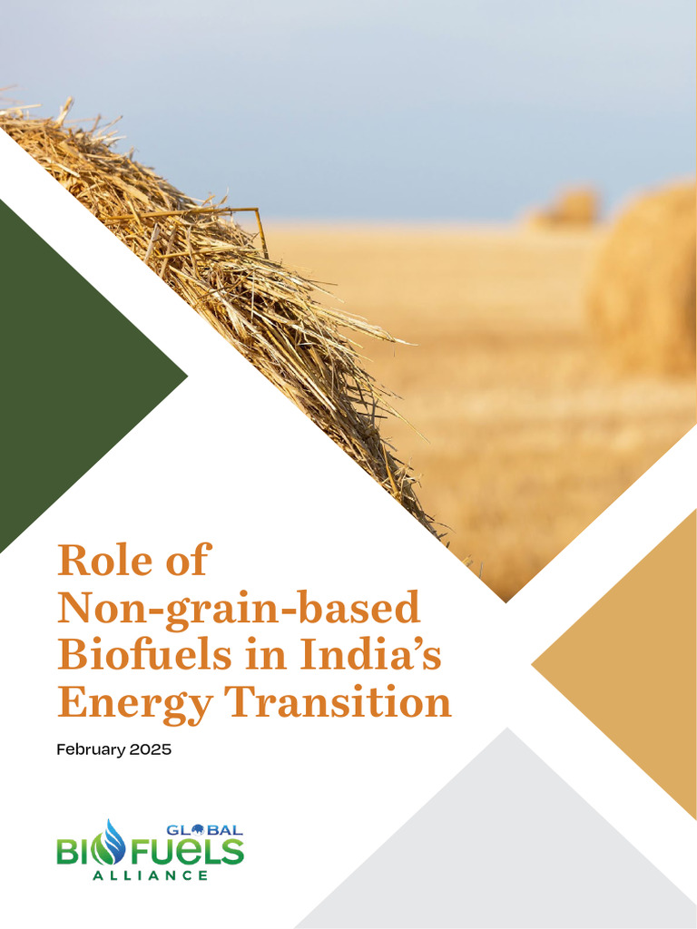 Role of NGB Biofuels in India Energy Transition | PDF | Biofuel | Climate Change Mitigation