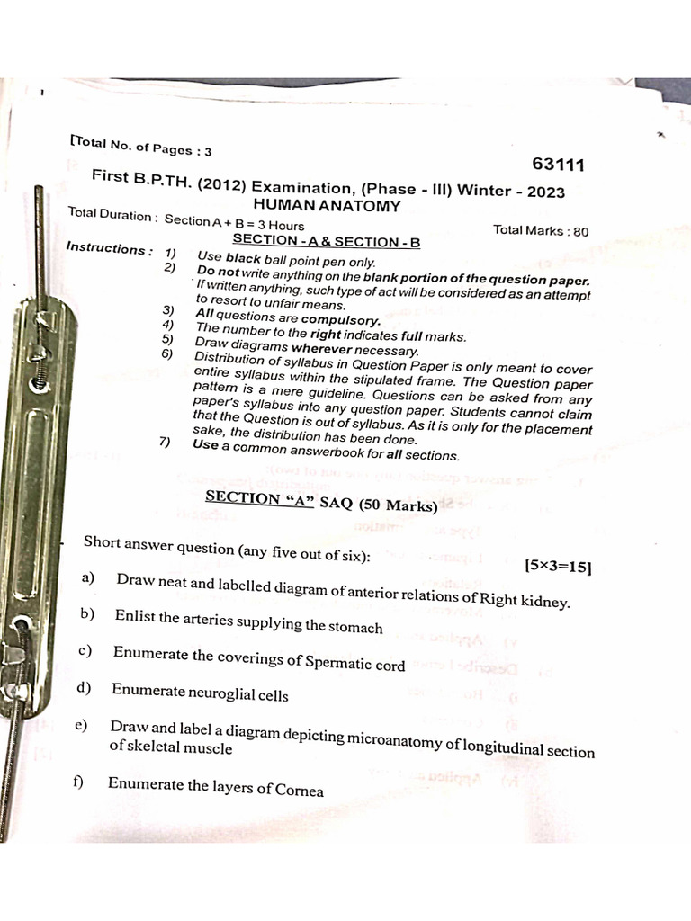 Anat Uni Papers | PDF