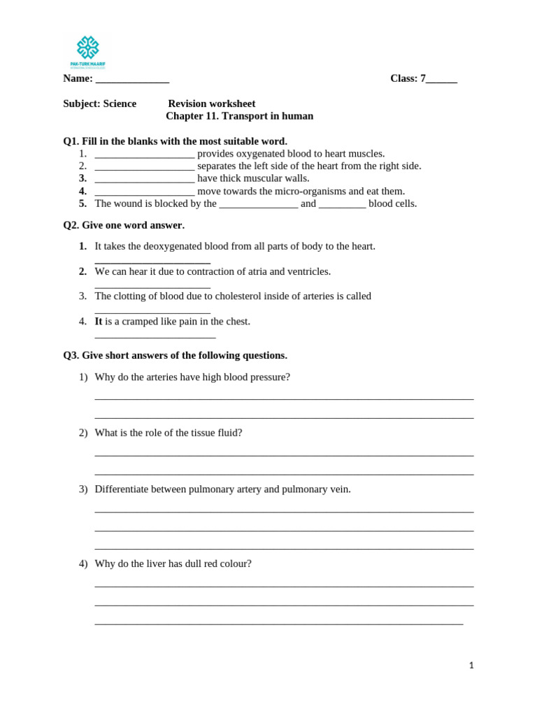 revision worksheet unit 11 | PDF | Heart | Artery