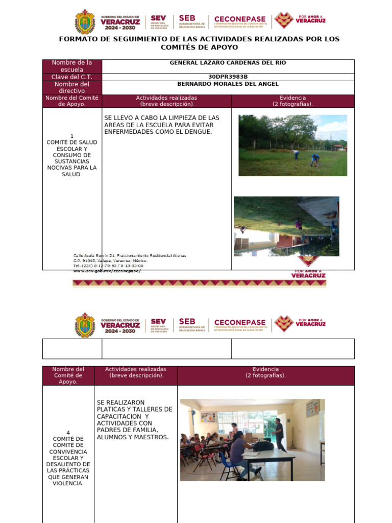 Formato de Seguimiento de Comités de Apoyo | PDF