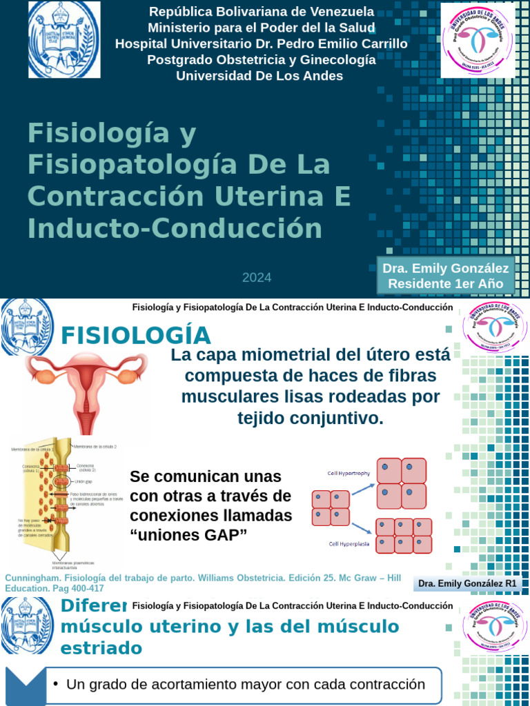 CONTRACCION UTERINA (Autoguardado) | PDF | Parto | Músculo
