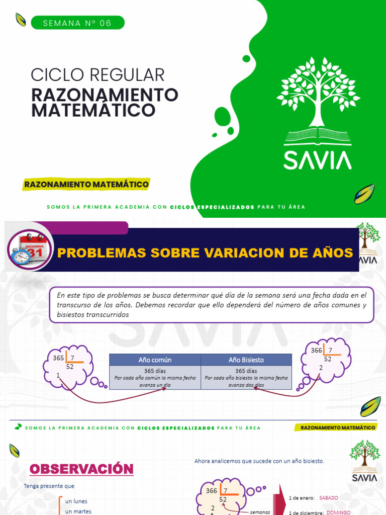 Raz Mate-Ses01-Sem06-Reg | PDF