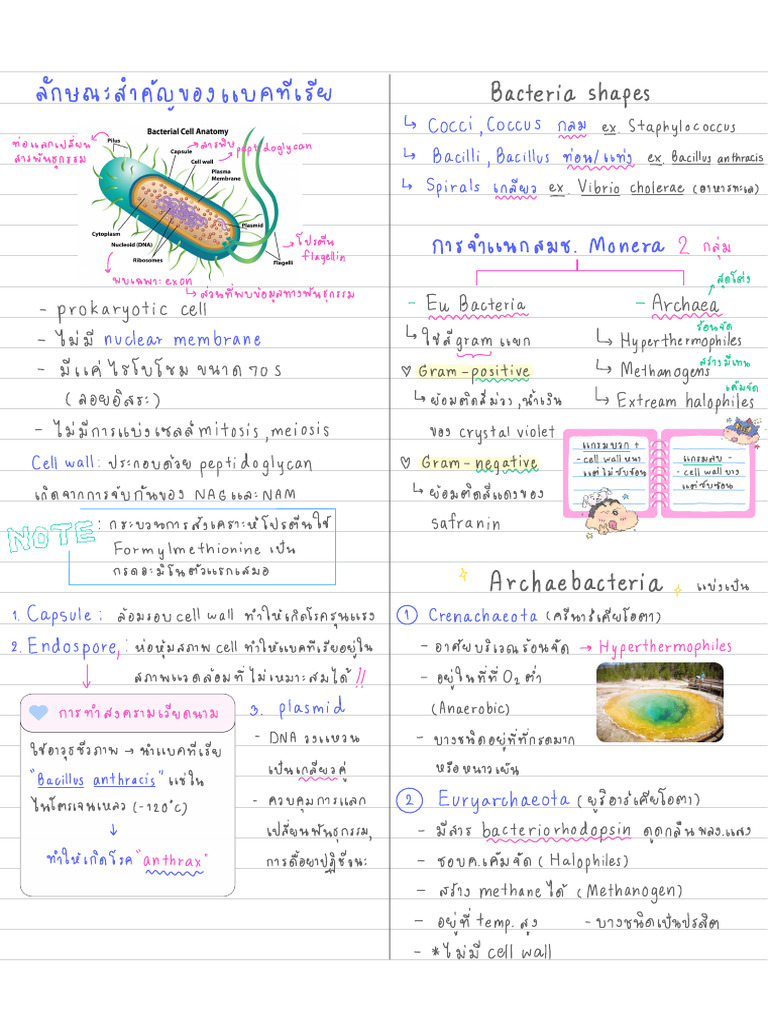 Kingdom Monera | PDF