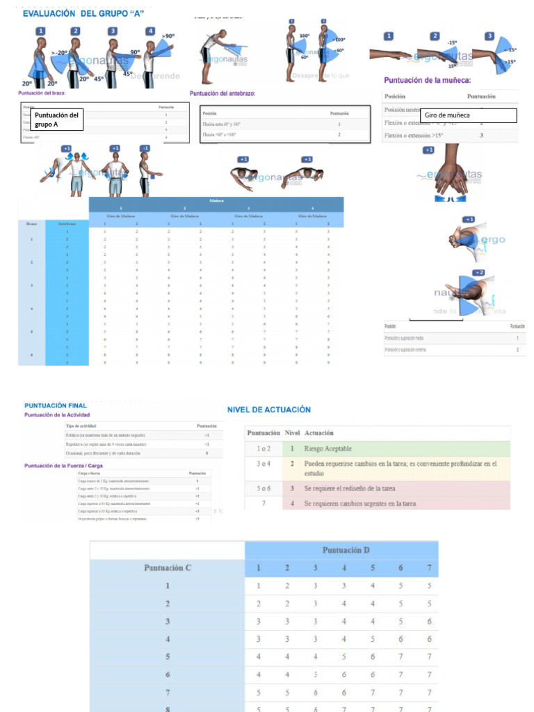 Tablas de Ergo Metodo RULA | PDF