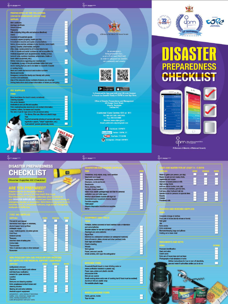 Disaster Checklist | PDF