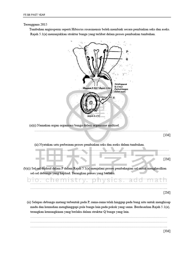 SPM PAST YEAR BAB 5 | PDF