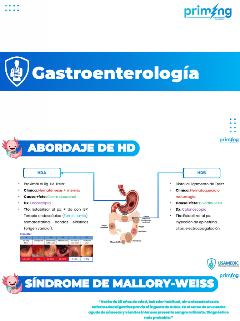 Gastro Priming - 2024 Nuevo | PDF | Hepatitis | La enfermedad por ...