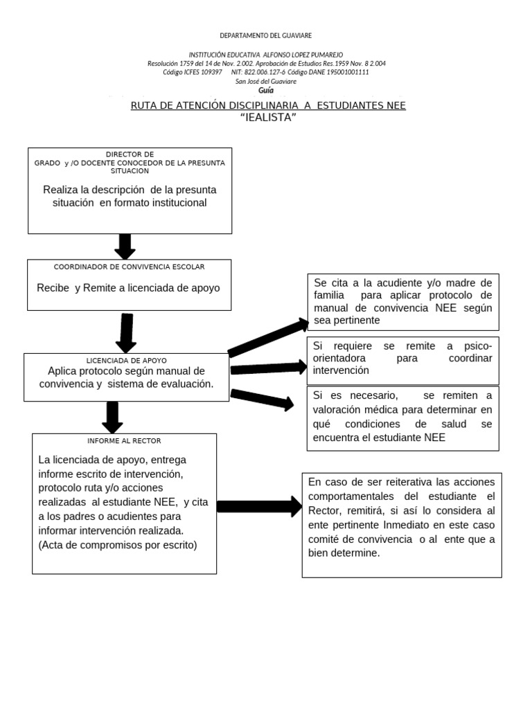 Protocolo de Atención NEE Guaviare | PDF