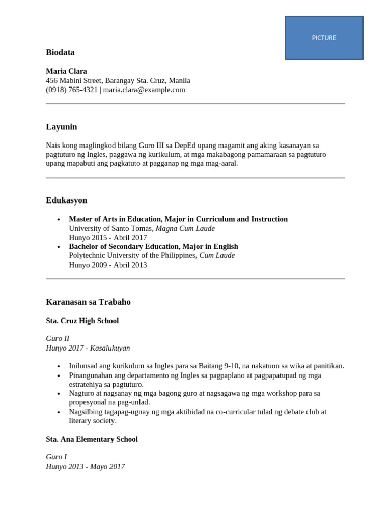 SAMPLE CV-RESUME FOR PROMOTION #3 | PDF