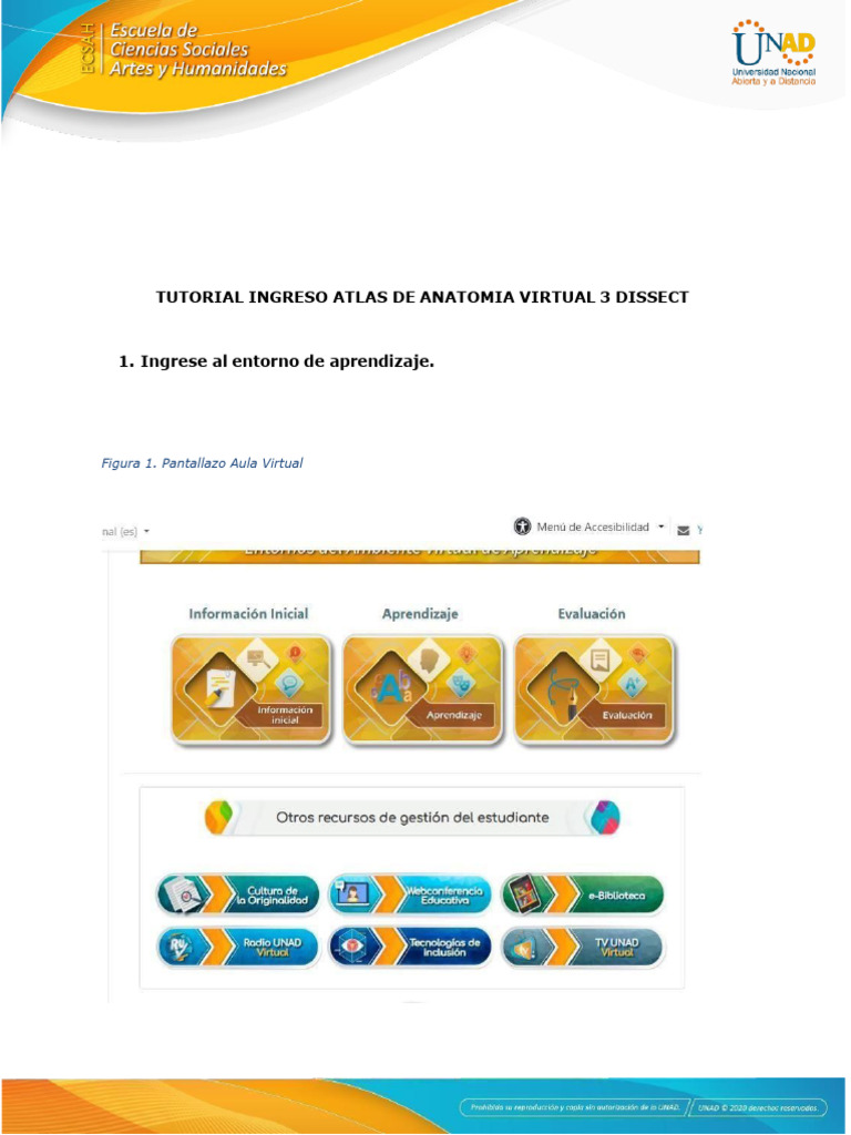 Anexo 0 - Tutorial de ingreso Atlas de Anatomía Virtual 3 Dissect | PDF | Software | Informática