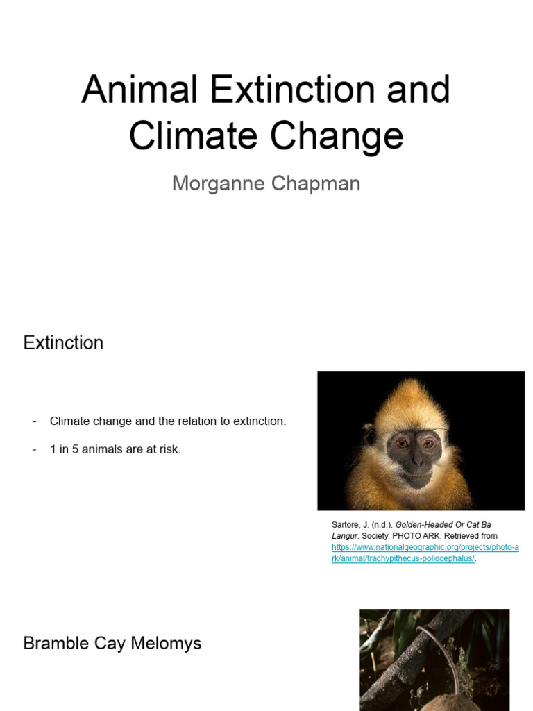 Climate Change & Animal Extinction | PDF | Extinction | Zoology
