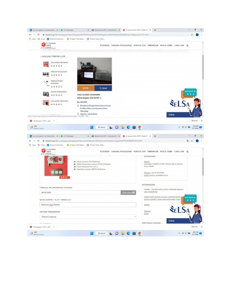 Alur Elsa Brin | PDF