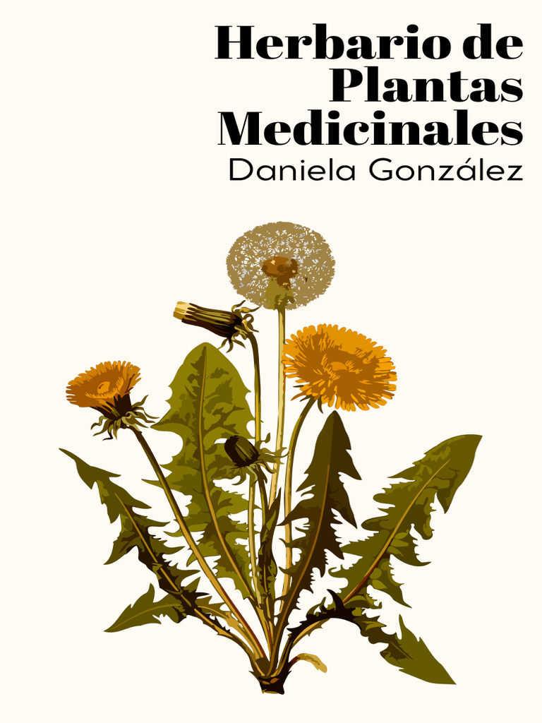 Herbario de Plantas Medicinales | PDF