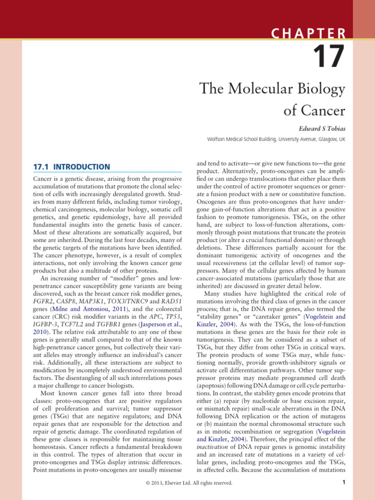 Molecular Biology of Cancer | PDF | Oncogene | Carcinogenesis