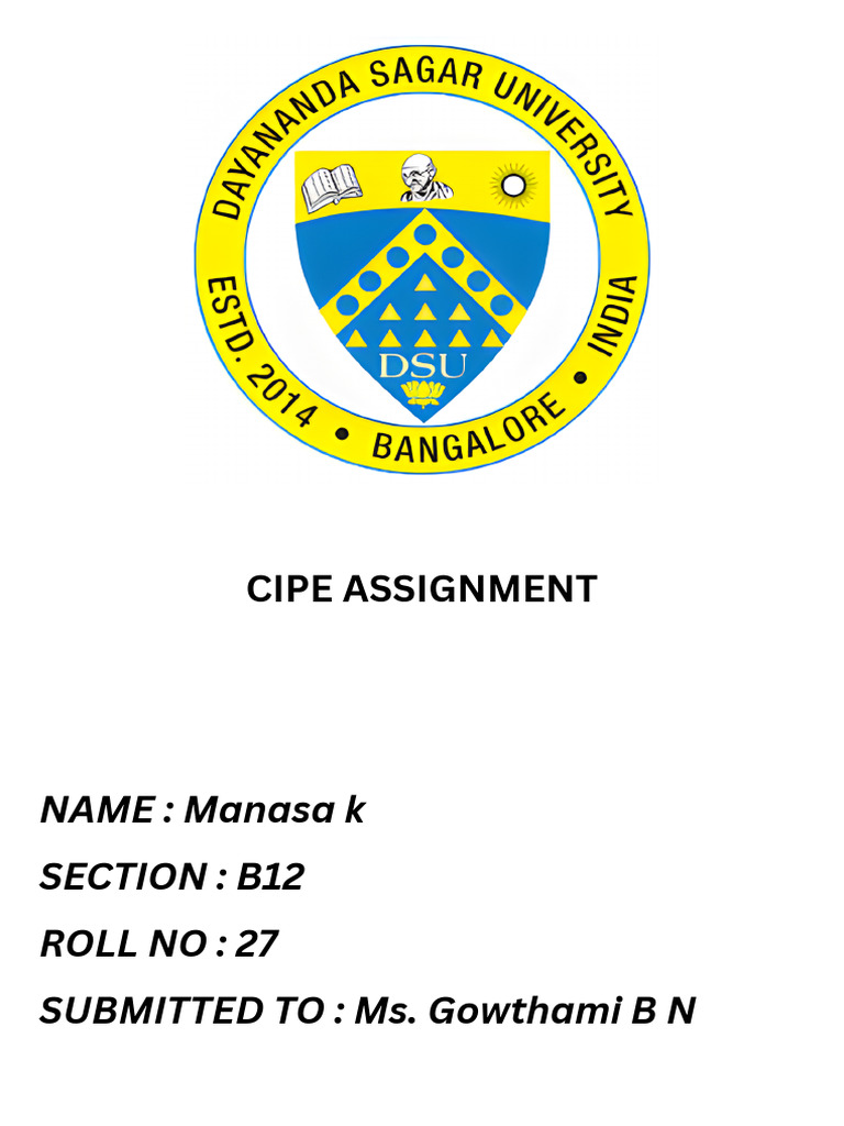 Cipe Assignment | PDF