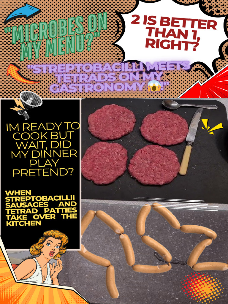 My Entry Favor DDM 2 A | PDF