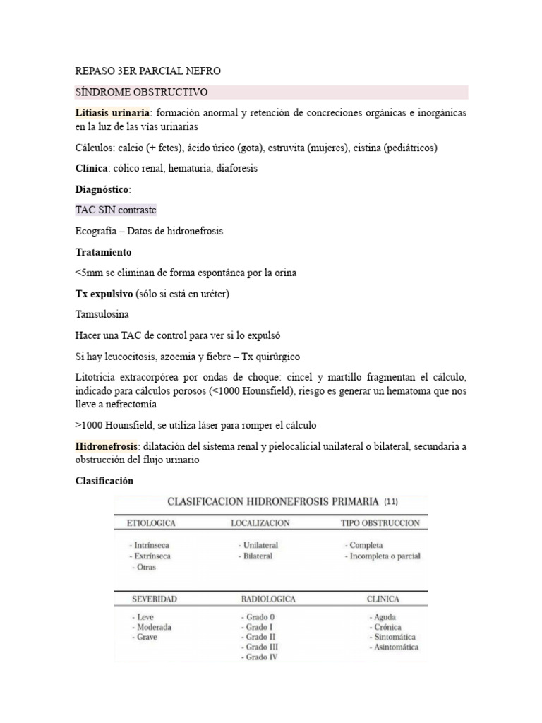 REPASO 3P NEFRO | PDF | Especialidades Medicas | Enfermedades y trastornos