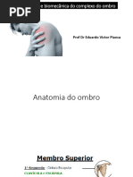 Anatomia Do Ombro | PDF | Ombro | Membros (anatomia)